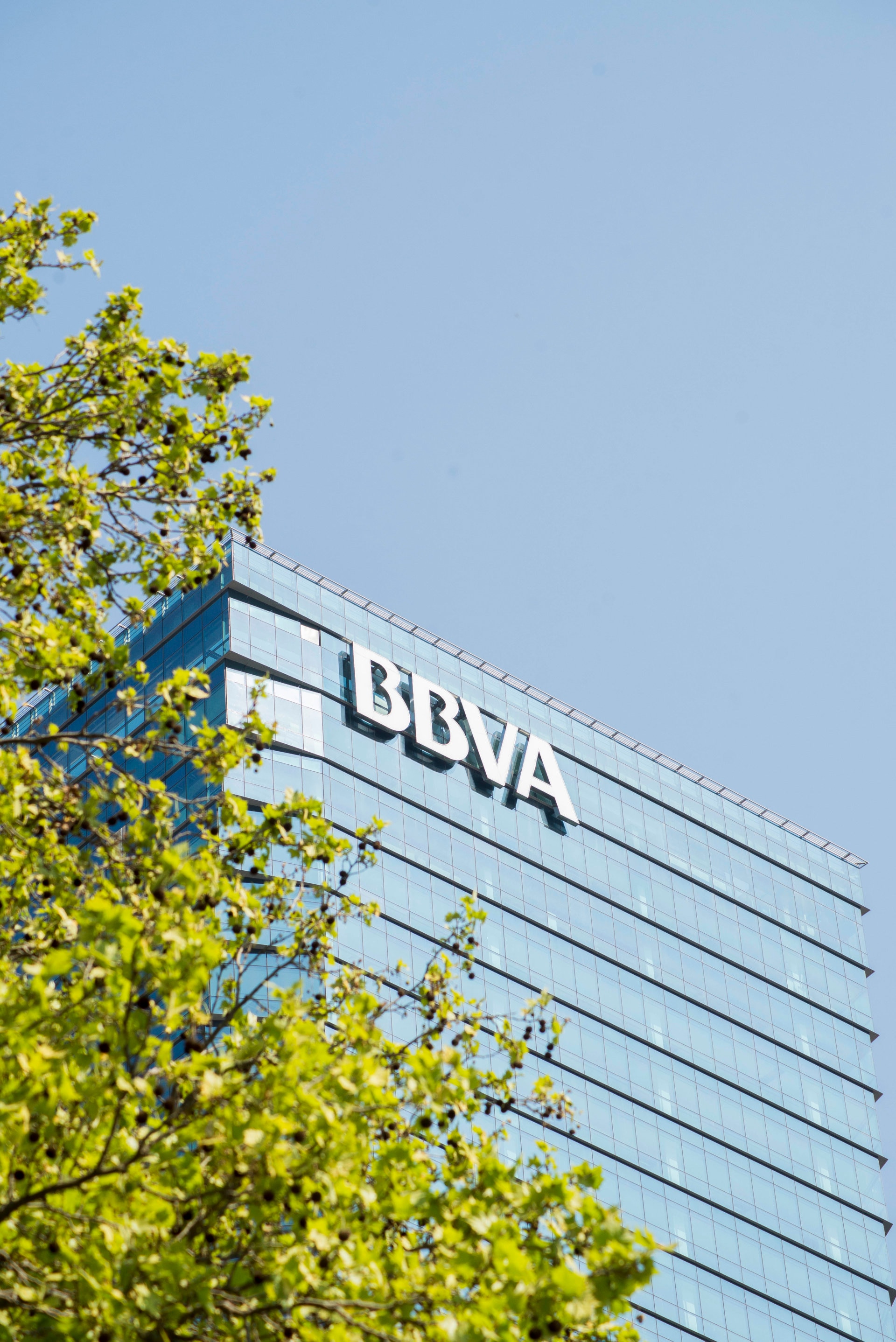 Bbva Y Terra Integran Uno - requisitos para prestamos ico