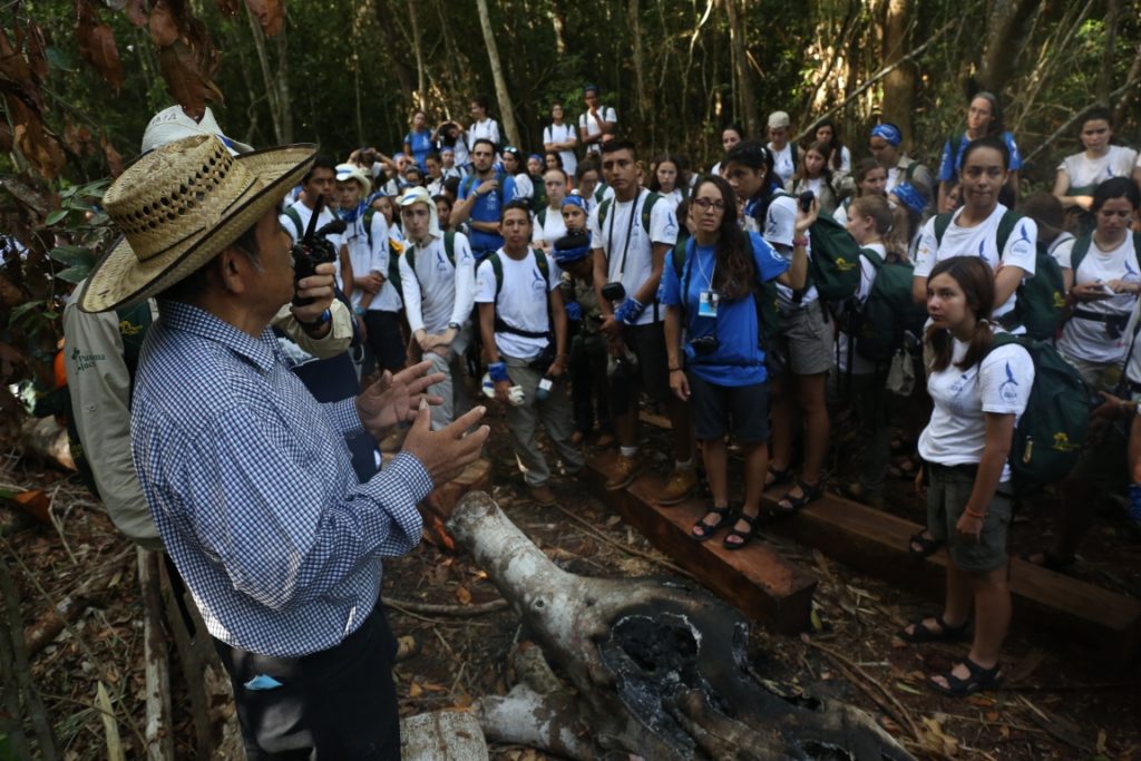 Los mayas ya mascaban chicle del árbol chicozapote