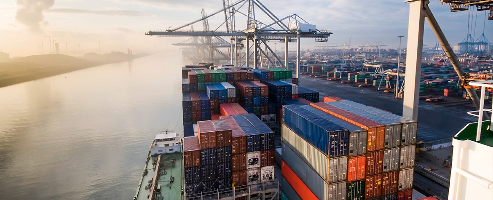 Comercio e inversión internacional: claves para el progreso económico ...