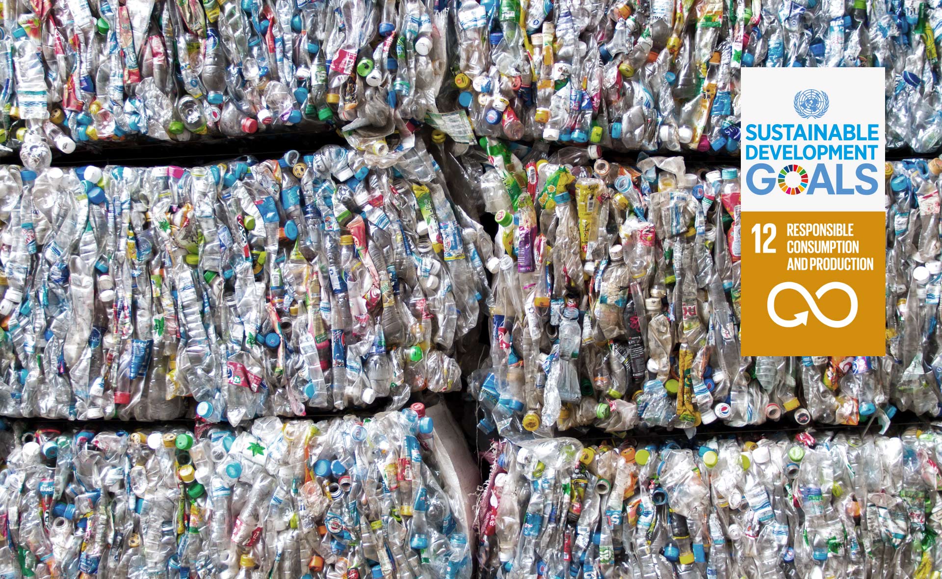 What is BBVA doing to ensure sustainable consumption and production patterns? | BBVA