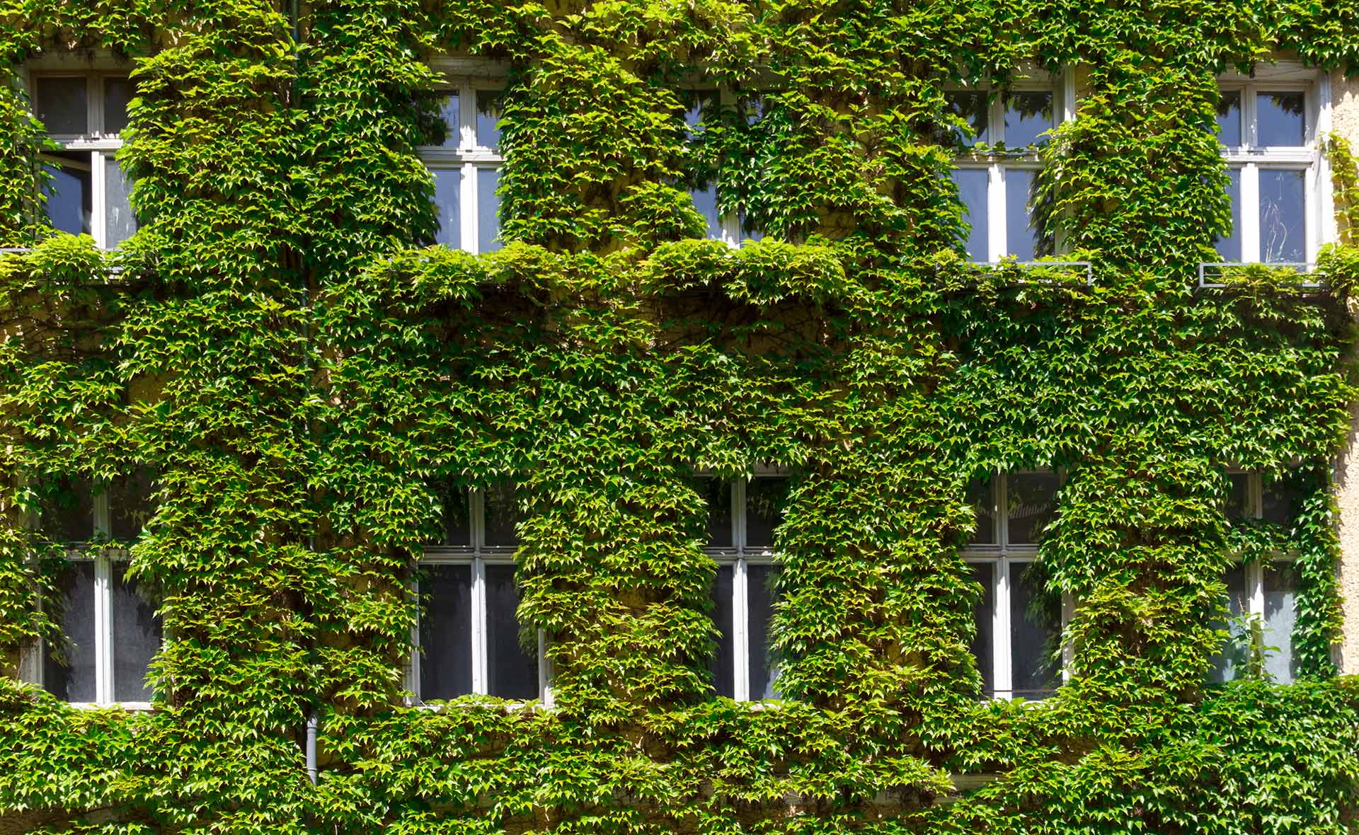 “Las ciudades del futuro deberían imitar los ecosistemas”, Ken Yeang