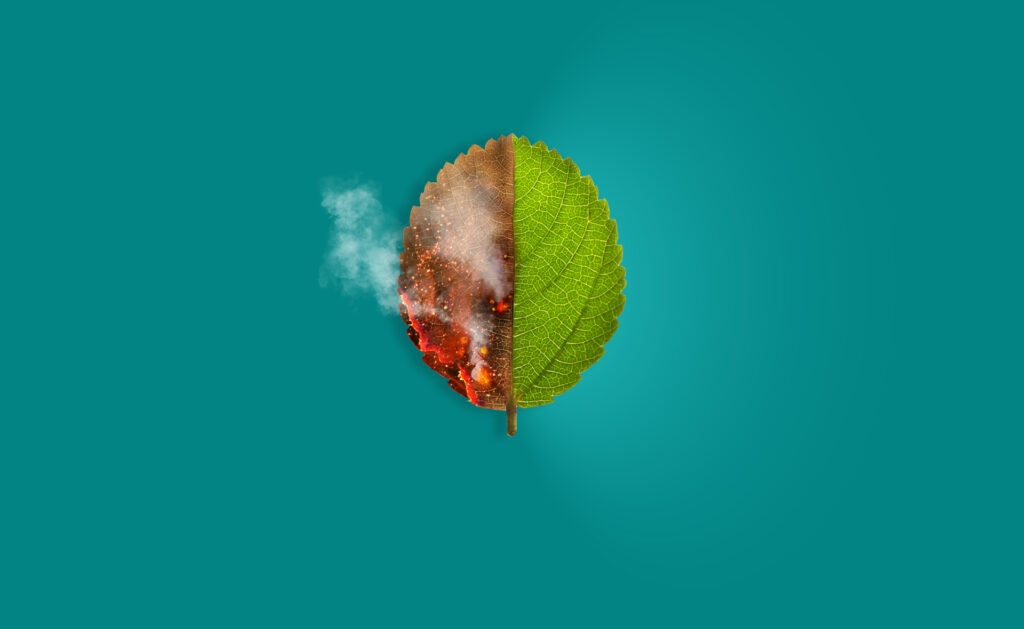 ¿Qué es el cambio climático? Causas y cómo nos afecta ¿Qué es el cambio climático? Causas y cómo nos afecta