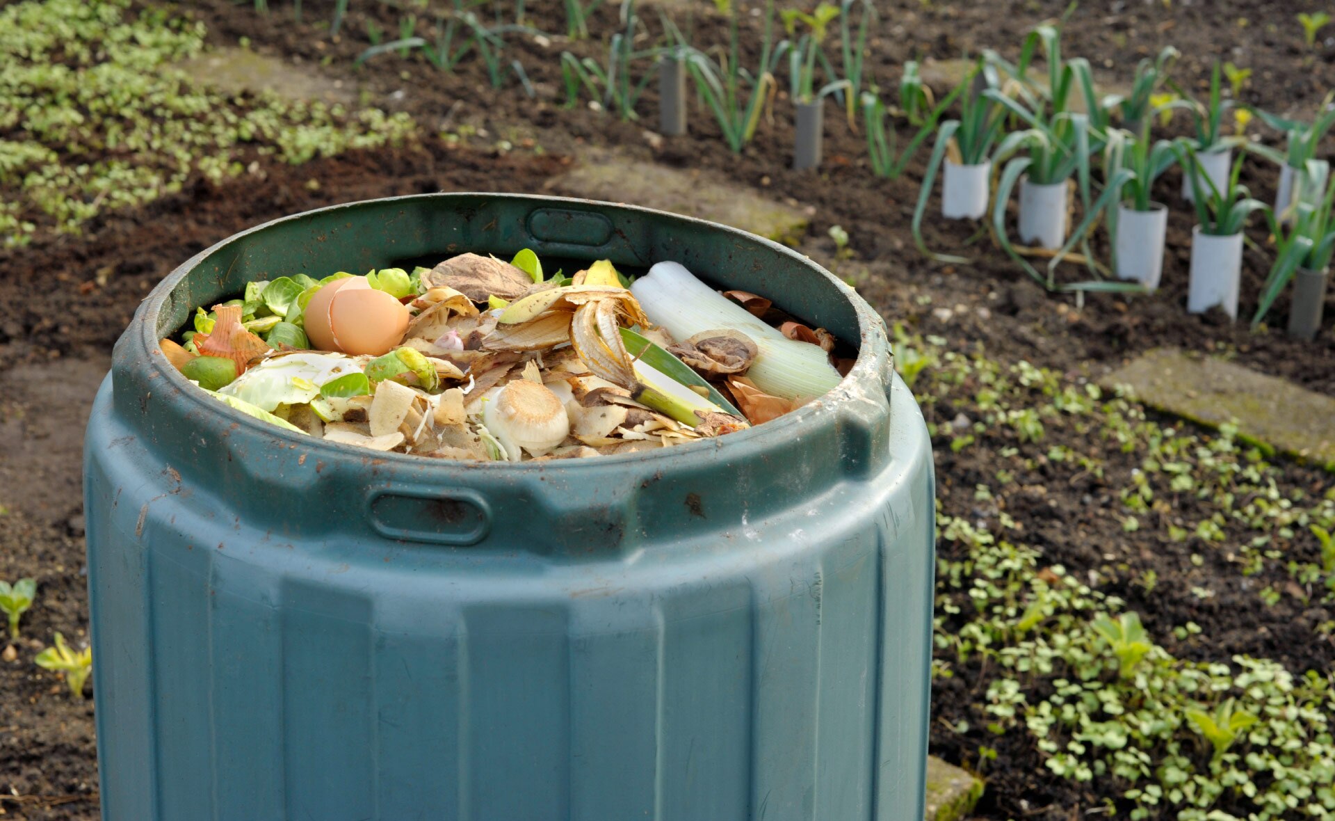 Cómo hacer compost con los residuos orgánicos de la casa Cómo hacer compost con los residuos orgánicos de la casa