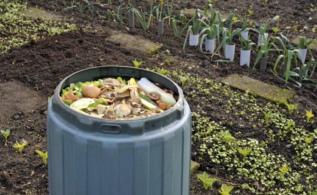 Aprende a hacer abono orgánico (compost) con los residuos de tu casa Aprende a hacer abono orgánico (compost) con los residuos de tu casa