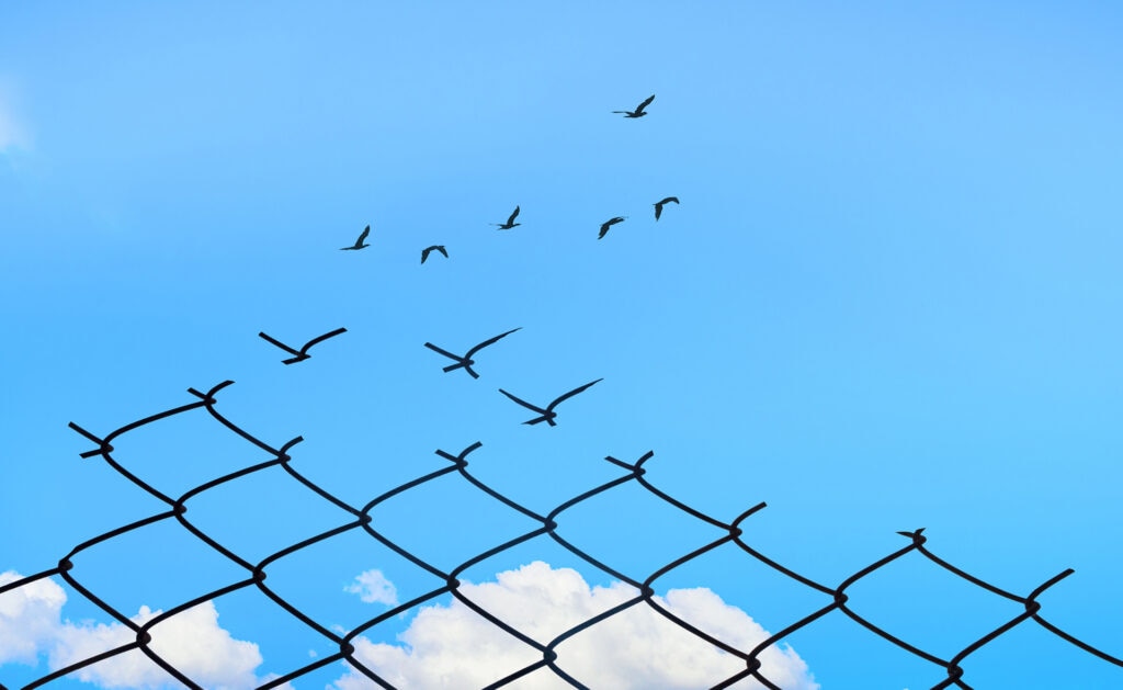 Cómo el interés particular puede destruir el bien común