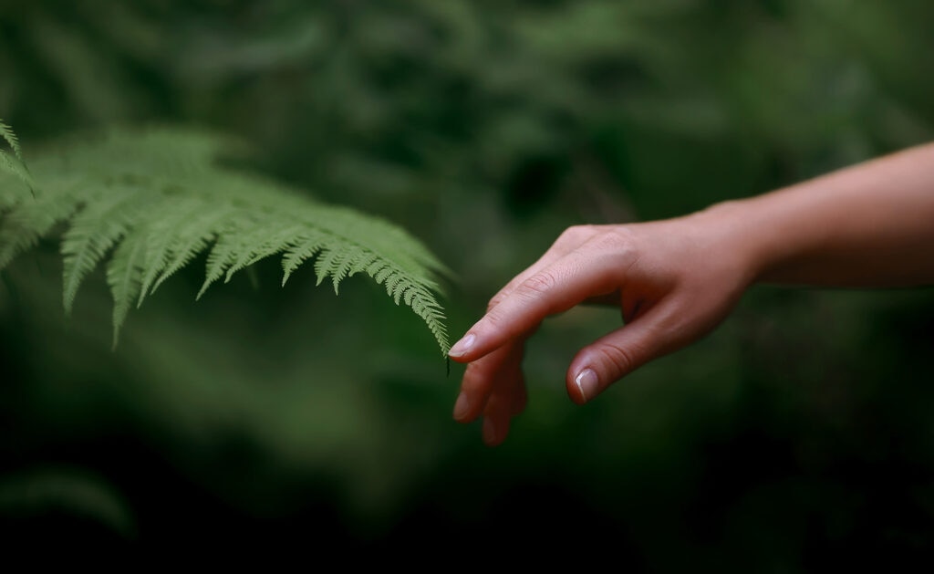 La conexión con la naturaleza, clave para una sociedad más sostenible La conexión con la naturaleza, clave para una sociedad más sostenible