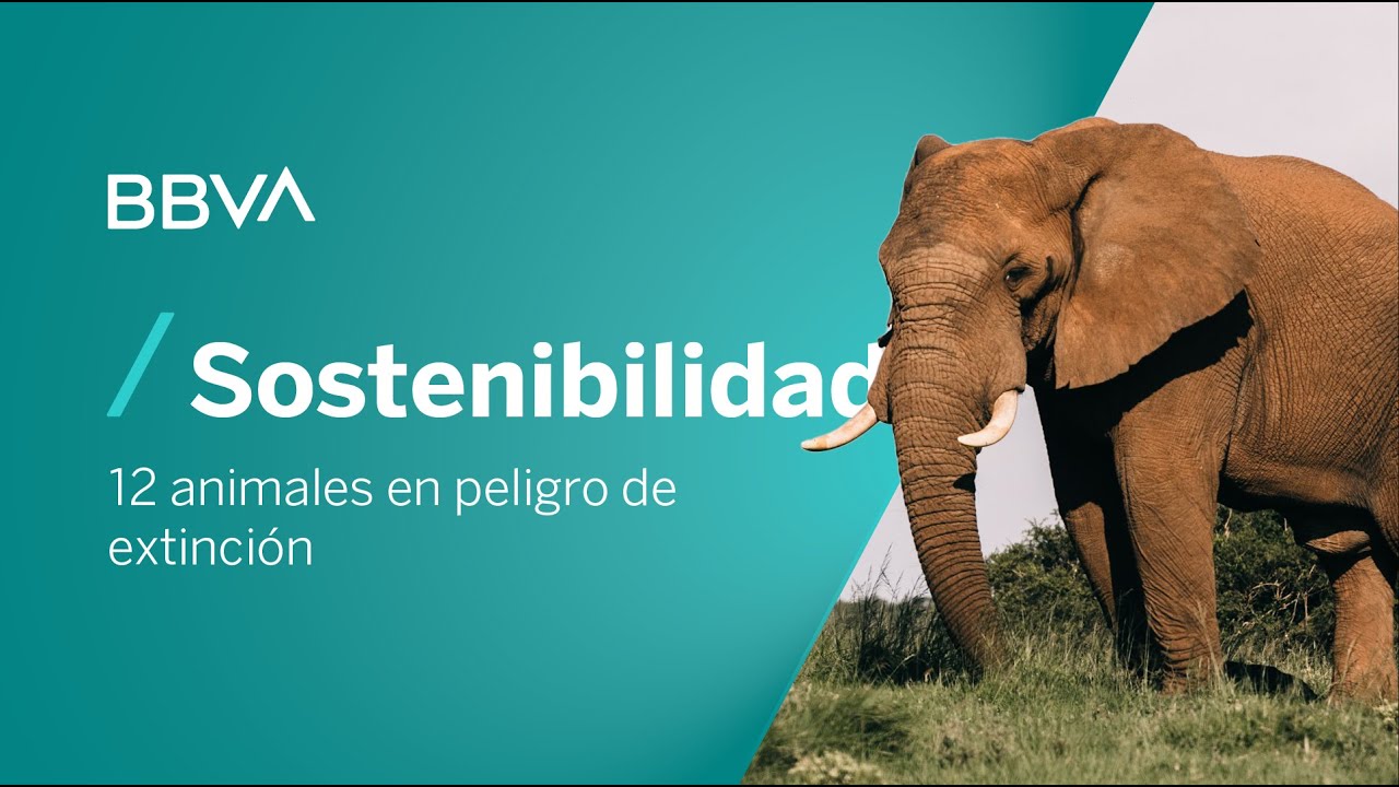 Noticias De Especies En Peligro De Extincion