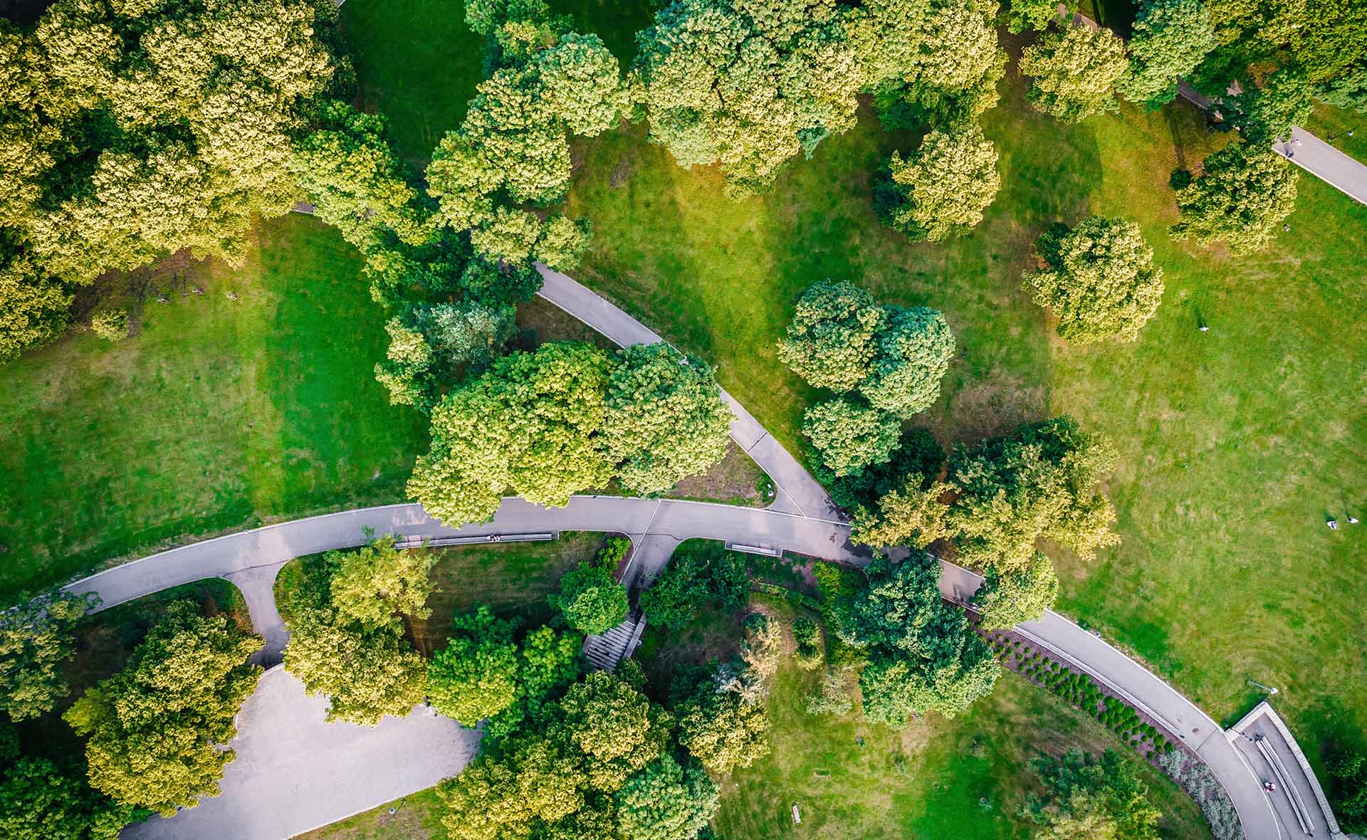 Espacios Verdes Urbanos Los Parques Que Transformaron Barranquilla