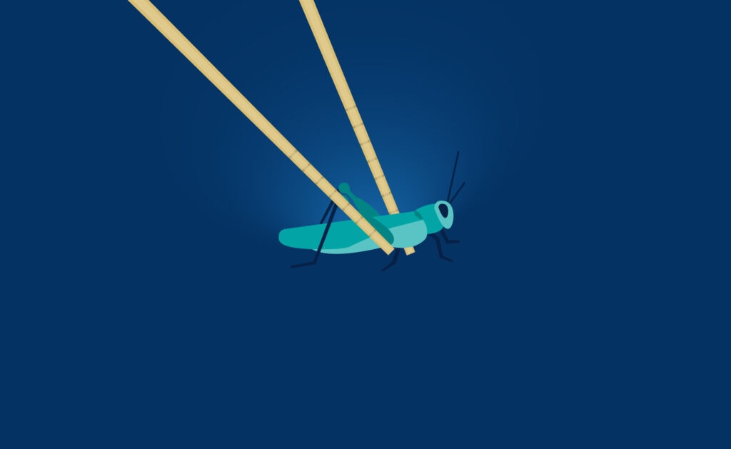 ¿Qué es la ganadería de insectos y cuáles son sus beneficios?