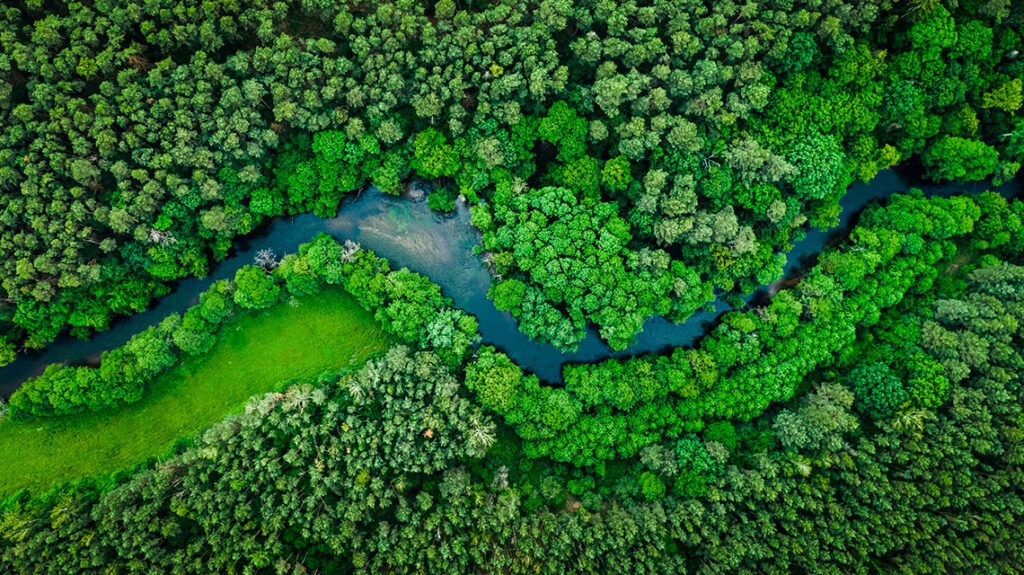 Construir un futuro más verde a través del emprendimiento ambiental