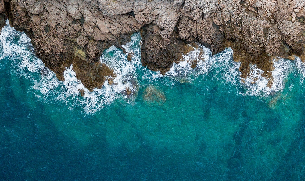 ¿Qué son los sumideros de carbono y por qué son importantes?