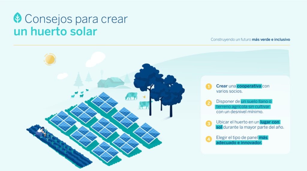 Conoce cómo es posible crear un huerto con energía solar