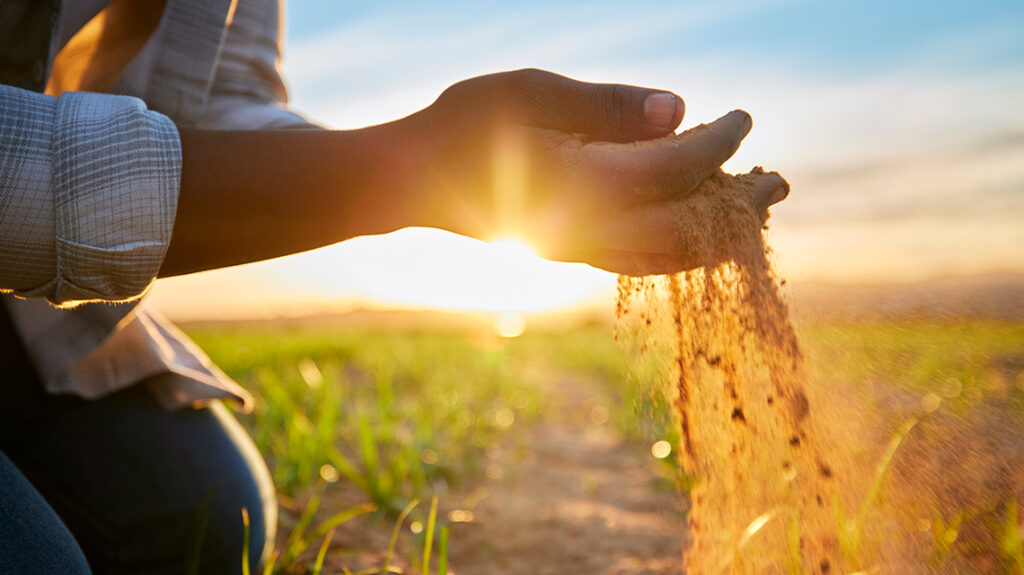 Transición justa: definición, claves y retos hacia una economía verde